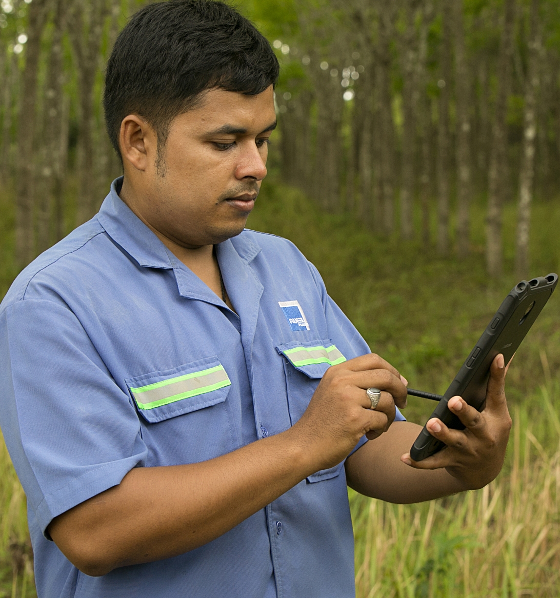 Telah Dibuka Konsultasi Publik Kedua Standar FSC Ecosystem Services ...